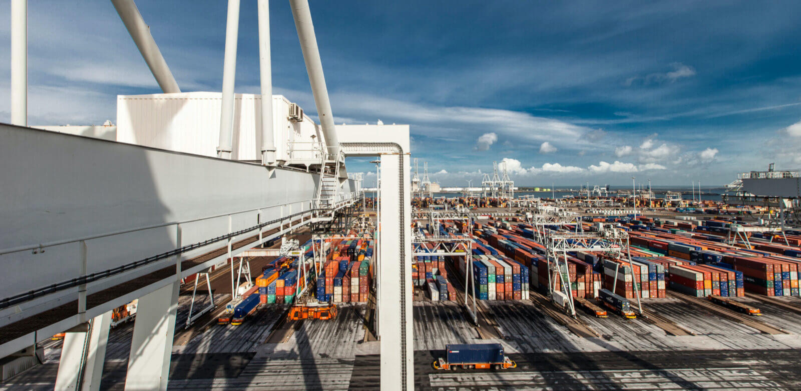 Vector Eyes | Document Services | Vector Eyes